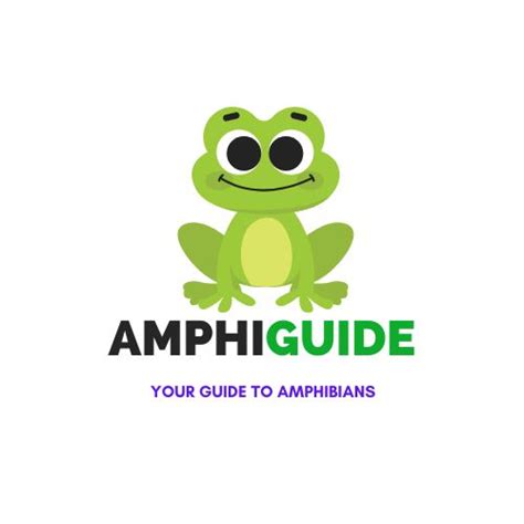 Male Vs Female Axolotl Amphiguide