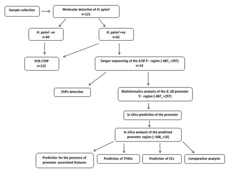 Schematic Representation Of The Methodology Download Scientific Diagram