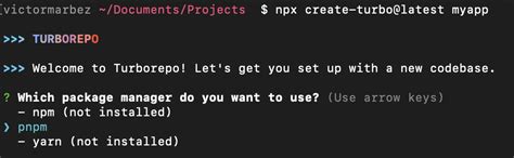 [turborepo] Cli Not Finding Npm Package Manager · Issue 4556 · Vercel