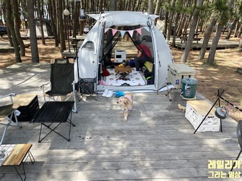 태안 강아지 동반 캠핑장 추천 웨스턴 백사장 오토 캠핑장 네이버 블로그