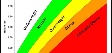 Interactive Graphic Bmi Calculator