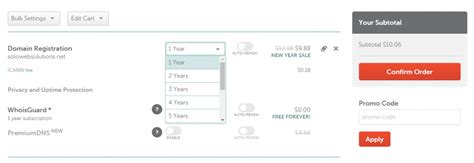how to purchase a domain name through namecheap solo web solutions