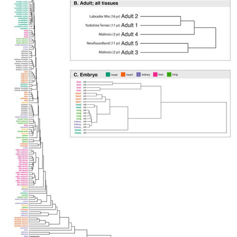 Integrating Atac Seq With Rna Seq Data Can Help Validate Novel Genes