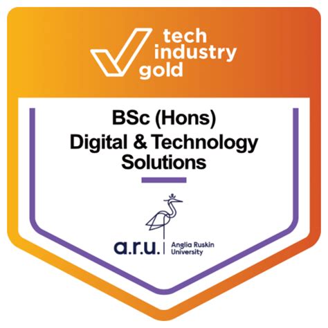 Bsc Hons Digital And Technology Solutions Anglia Ruskin University Credly