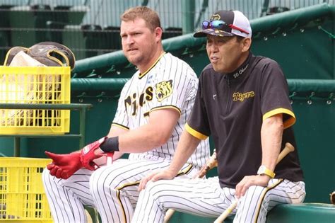 阪神 新外国人ノイジー ファン投票3位！ 阪神タイガース スポーツニュースまとめブログ