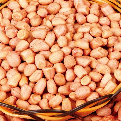 Peanut Kernel Rizhao Long Fragrant Foods Co Ltd