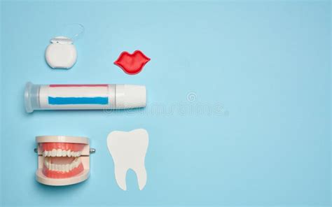 Model Of A Human Jaw With White Teeth Dental Floss And Toothpaste On A