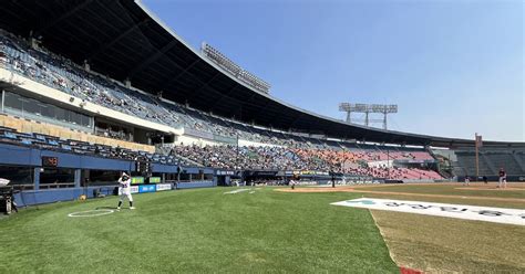 팬 선수를 위해 백스톱 그물 인조잔디 전면 교체잠실구장 새단장 잠실 현장