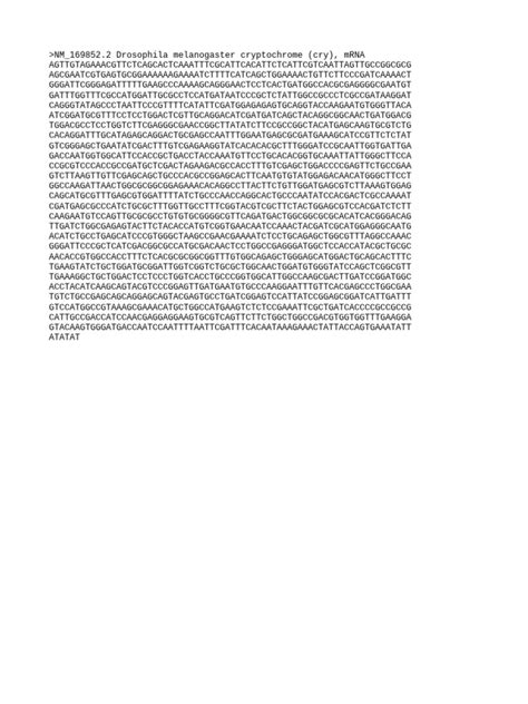 Sequencefasta 1 Pdf