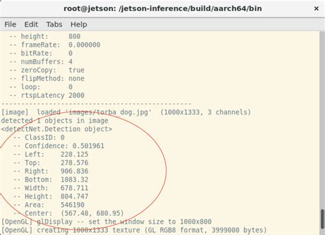 Jetson Nano Object Detection And Image Classification Nerc Constructing A Digital Environment