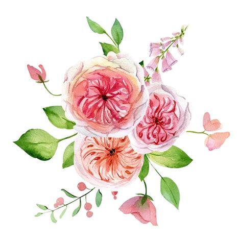 Ilustração de buquê de rosas em aquarela composição floral Vetor Premium