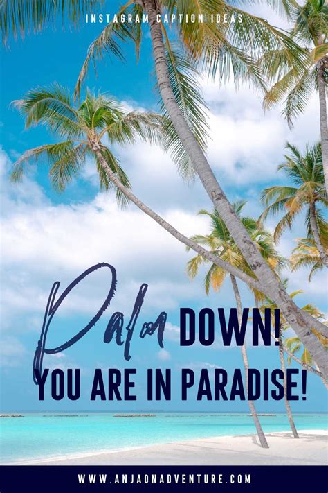 107 Fantastic Palm Tree Captions For Instagram Lavish And Strong 2025