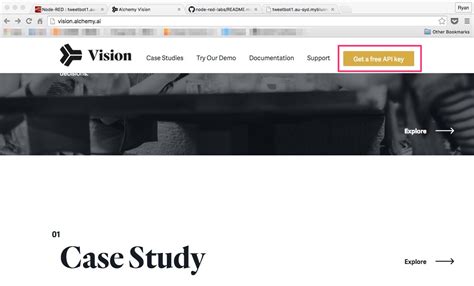 大兵萊恩 一路直前 node red 人臉與年齡辨識的應用示範 node red bluemix alchemy vision