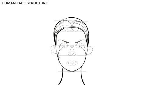 Fibonacci Sequence Grid Human On Behance