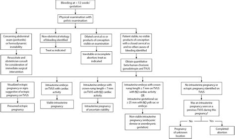 Teen Pregnancy Part 1 The First Trimester