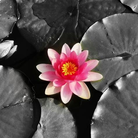 深入理解java中方法的参数传递机制 阿里云开发者社区