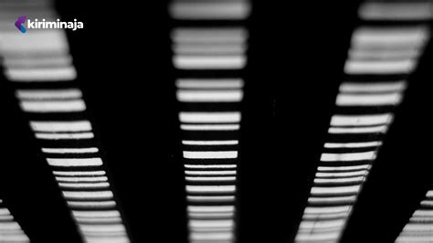 Seperti Cincin Nikah Barcode Adalah Alat Yang Bisa Mengetahui Status