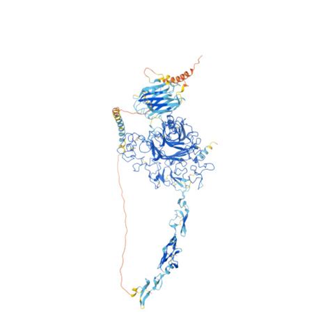 Rcsb Pdb Af Afp35443f1 Computed Structure Model Of Thrombospondin 4