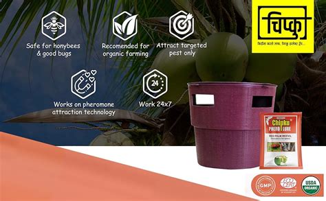 Chipku Buket Trap With Red Palm Weevil Pack Of 1 Home