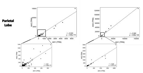 Correlation Plots For Lncrna Expression Between Biologic Replicates