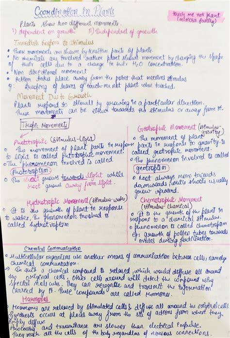 Control And Coordination Class 10 Notes Control And Coordination Class 10 Handwritten Notes