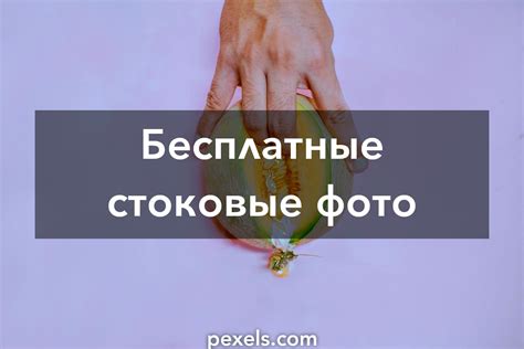 Лучшие фото 2 000 по запросу Sex · Скачивайте совершенно бесплатно · Стоковые фото Pexels