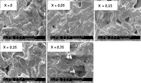 Micrographies Of Y 1−x Ca X Ba 2 Cu 098 Co 002 3 O 7−δ Sintered