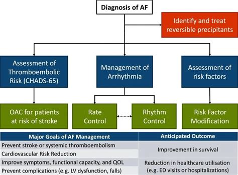 Atrial Fibrillation Cardio Guide