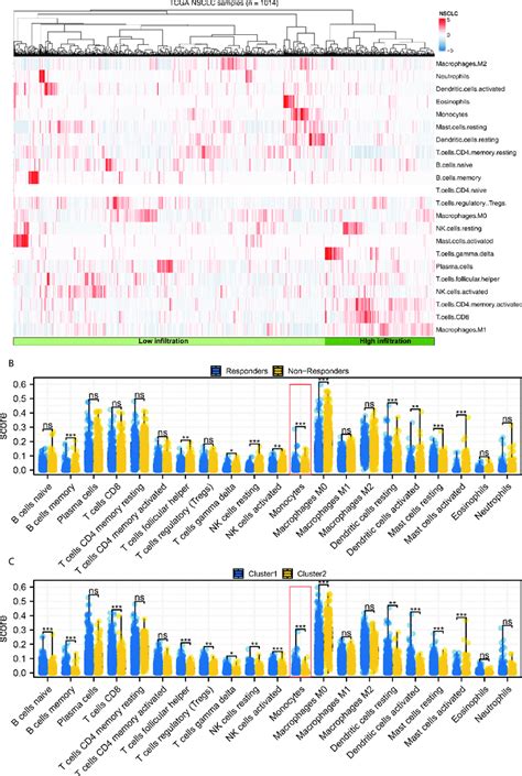 Immune Infiltration A The Cibersort Algorithm Was Used To Quantify