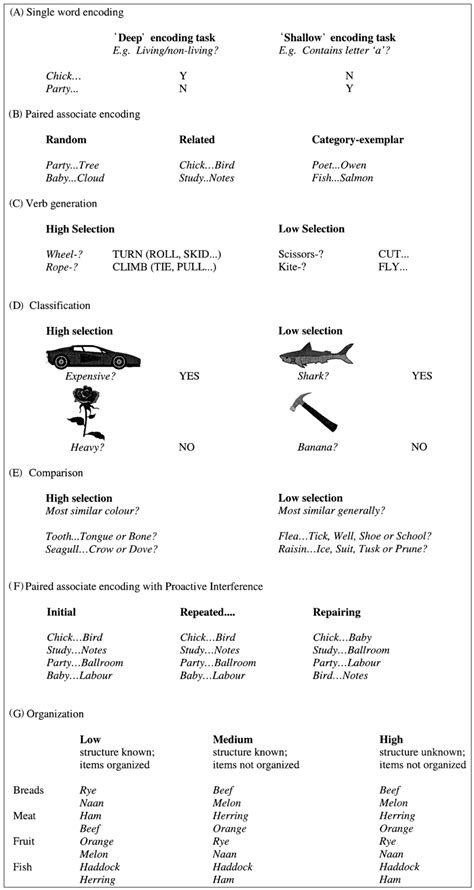 Schematic Representation Of Episodic Memory Encoding Tasks The Stimuli Download Scientific