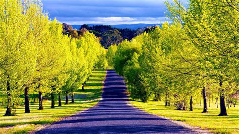 Most Beautiful Scenery Wallpaper