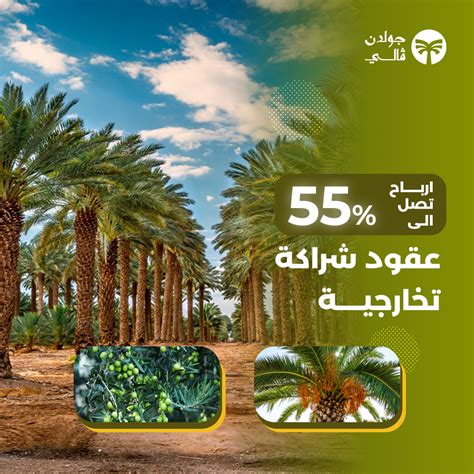 إستثمر بأرباح تصل لـ 55 مع Golden Valley جولدن فالي