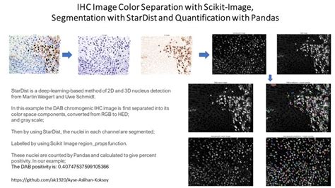 Ayse A Koksoy On Linkedin Imageanalysis Python Dataanalysis Machinelearning