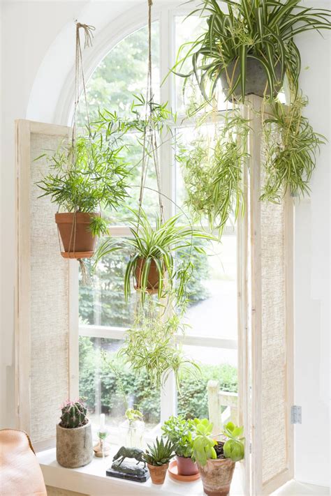 Подвесные кашпо: пять стильных идей | myDecor