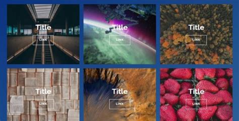 Best Css Badges In Techknow Prime