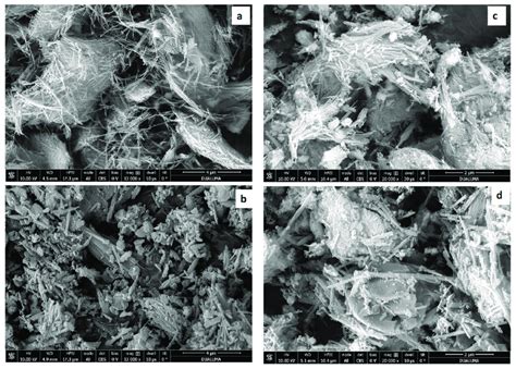 Sem Micrographs Of The Starting Sepiolite A Sep Pch B Starting