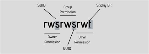 Incorrecta Gesti N Del Bit Suid En Linux