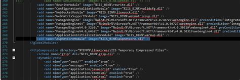 Aspnetcoredll Failed To Load
