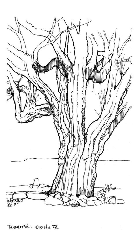 An Ink Drawing Of A Tree With No Leaves