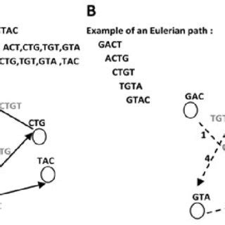 Overlap Based Approach For Graph Construction A Overlap Graph Where Download Scientific