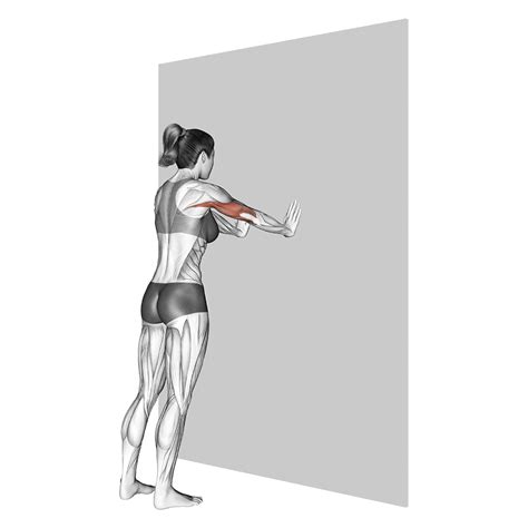 Lower Chest Push Ups Benefits Muscles Worked And More Inspire Us