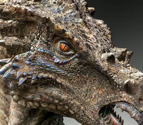 Dracorex Pictures And Facts The Dinosaur Database