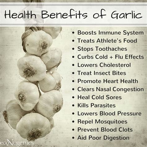 Garlic Powder Benefits For Skin At Sandra Karcher Blog