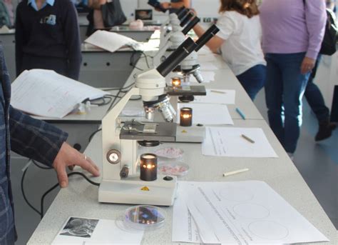 GCSE Combined Science Trilogy The Island Free Babe