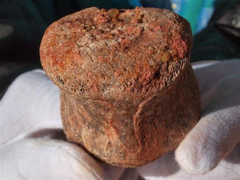 Spinosaurus Dinosaur Spinal Vertebrae 97 4 Million Years From Kem Kem