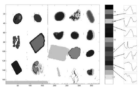 Results From Unsupervised Classification With The Fuzzy C Means Download Scientific Diagram
