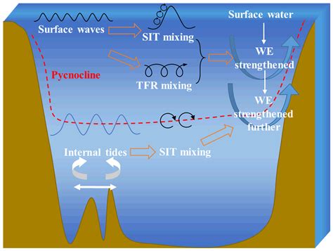Gmd Improved Upper Ocean Thermodynamical Structure Modeling With Combined Effects Of Surface