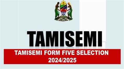 Complete Guide To Selformtamisemigotz 2025 Tamisemi Online