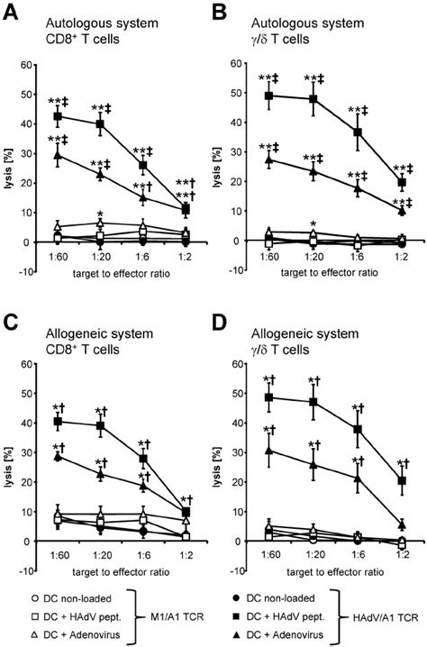 Cytolytic Capacity Of Hadva1 Tcr Transfected Cd8 T Cells And C D T