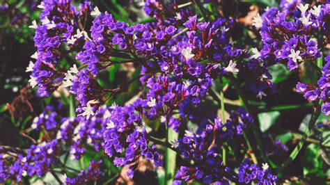 How To Be A Detail Oriented Person How To Be A Detail Oriented Person